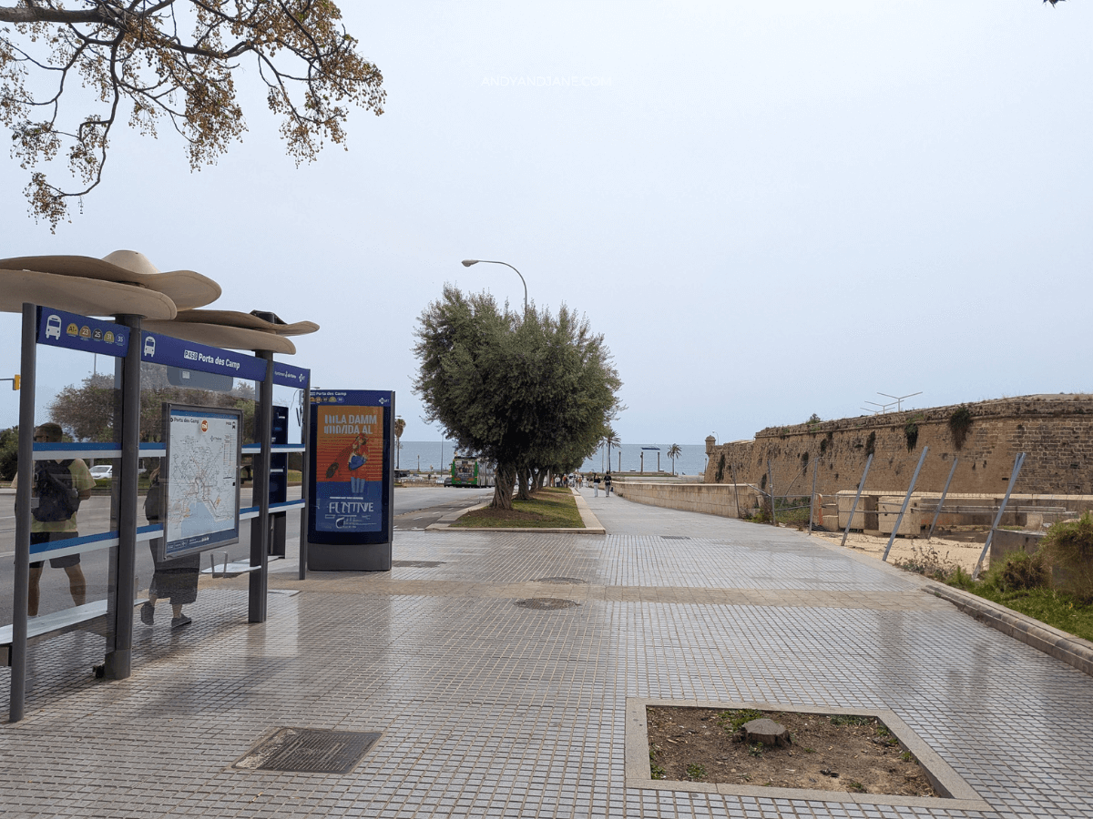 How To Get The A1 Bus From Palma Airport To Palma City